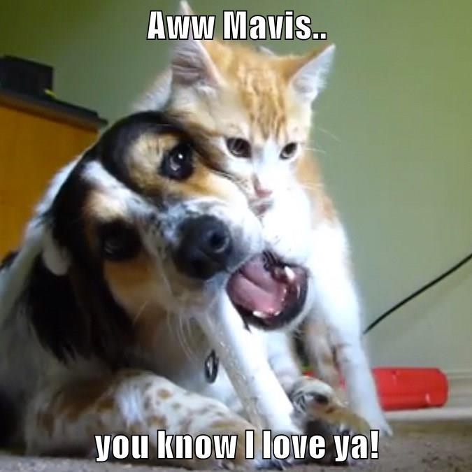 Aww Mavis.. you know I love ya! - Lolcats - lol | cat memes | funny ...