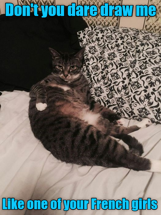 Quarantine Cat is cross and will use claws if necessary - Lolcats - lol ...