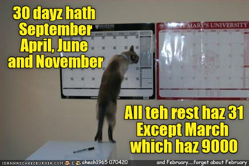 Just wait fur April - Lolcats - lol | cat memes | funny cats | funny ...