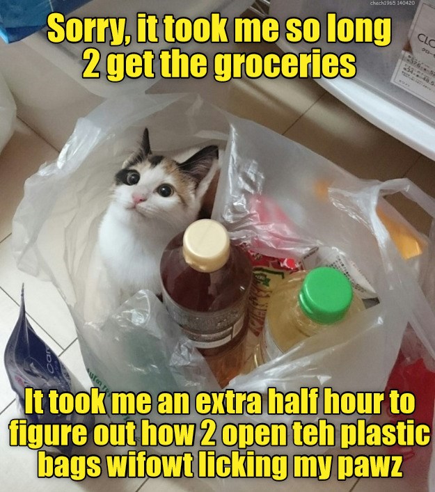 And I dunt haz thumbz - Lolcats - lol | cat memes | funny cats | funny ...