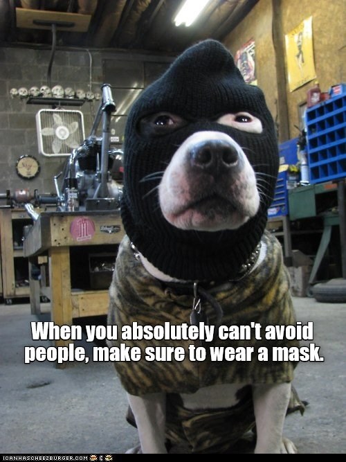 Make sure to wear a mask - I Has A Hotdog - Dog Pictures - Funny ...