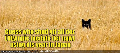 Real LOLympic Champs - Lolcats - lol | cat memes | funny cats | funny ...