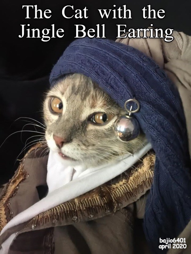 IT'S A CLASSIC - Lolcats - lol | cat memes | funny cats | funny cat ...