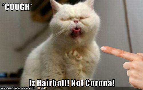 Iz Hairball! - Lolcats - lol | cat memes | funny cats | funny cat ...