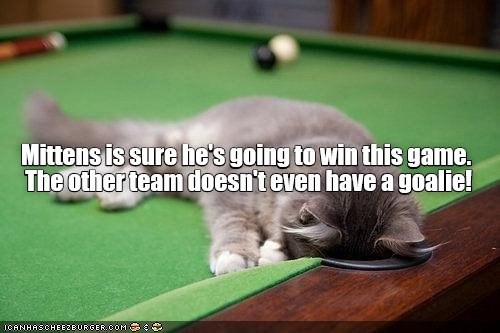 Winner - Lolcats - lol | cat memes | funny cats | funny cat pictures ...