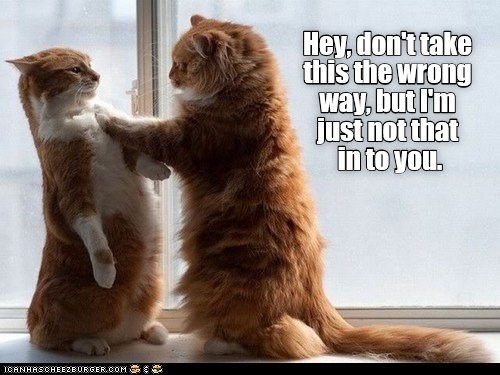 Lolcats - lol | cat memes | funny cats | funny cat pictures with words ...