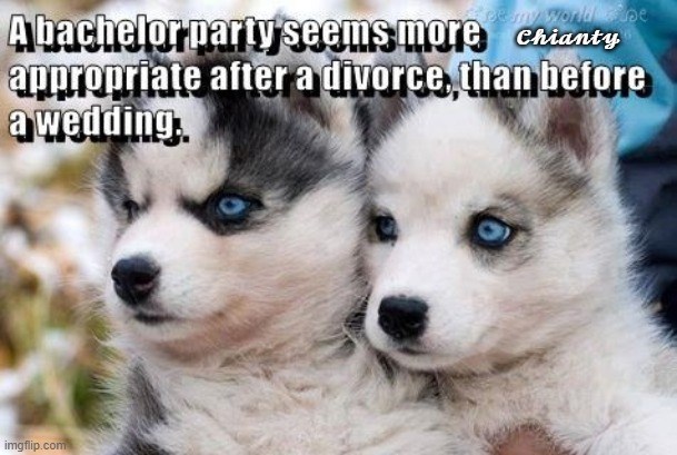 Pro-log - I Has A Hotdog - Dog Pictures - Funny pictures of dogs - Dog ...