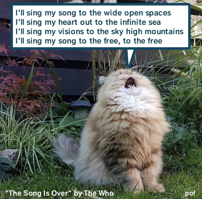 "The Song Is Over" by The Who - Lolcats - lol | cat memes | funny cats ...