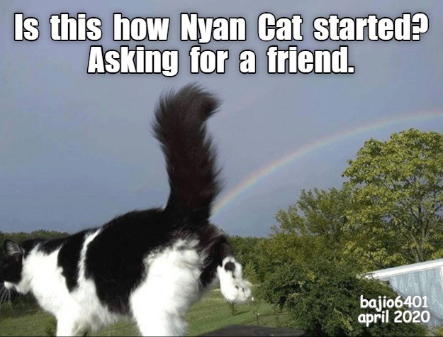 ALL BEGINNINGS HAVE AN END - Lolcats - lol | cat memes | funny cats ...