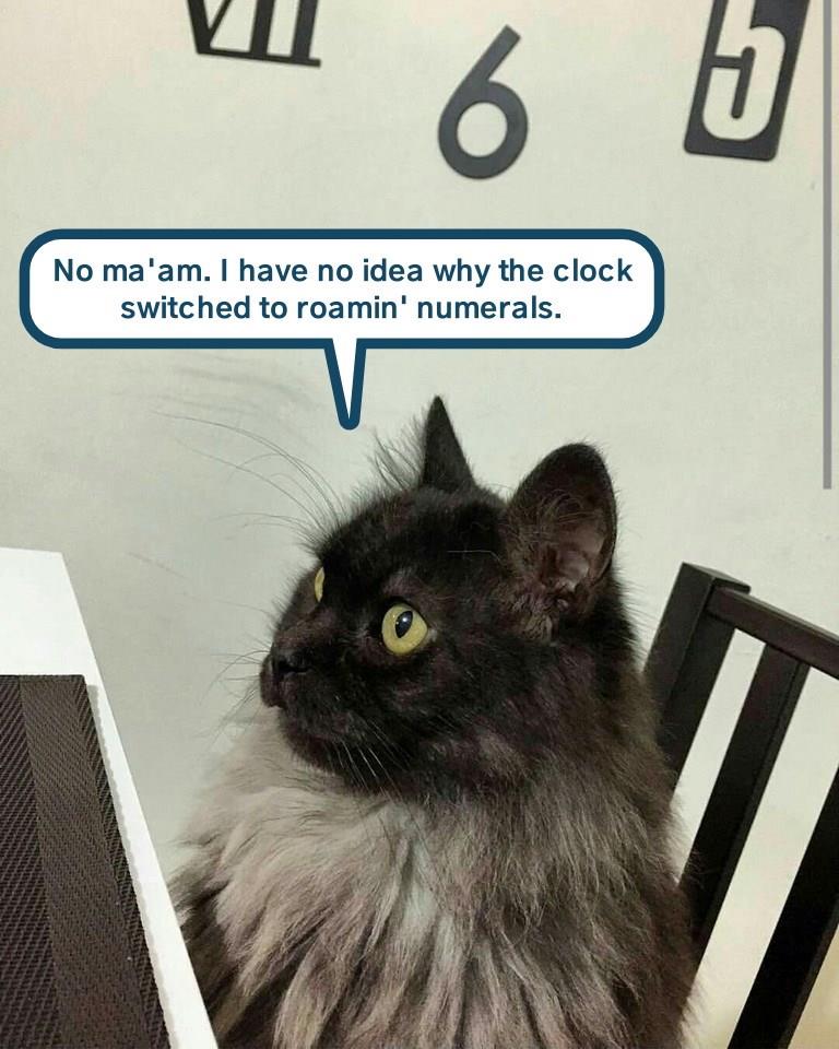 Catified clock - Lolcats - lol | cat memes | funny cats | funny cat ...