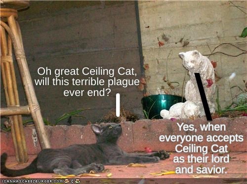 Hm...is that cat-mail? - Lolcats - lol | cat memes | funny cats | funny ...