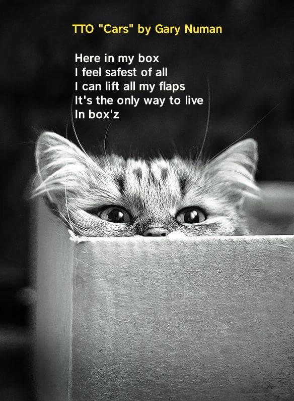"Box" (TTO "Cars" by Gary Numan) - Lolcats - lol | cat memes | funny ...