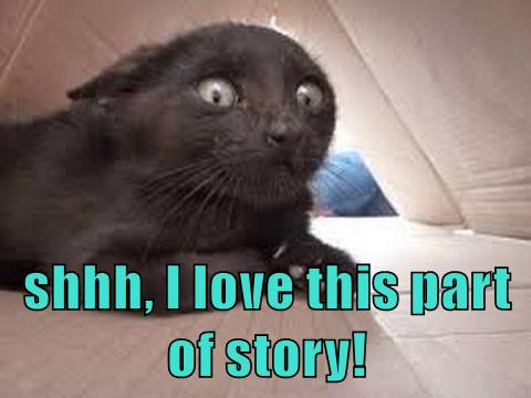 Shhh, I love this part of story! - Lolcats - lol | cat memes | funny ...