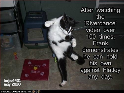 STEP ASIDE, FLATLEY - Lolcats - lol | cat memes | funny cats | funny ...