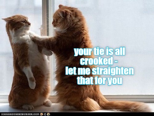 Let me - Lolcats - lol | cat memes | funny cats | funny cat pictures ...