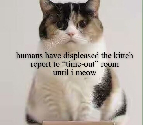 CATsequences - Lolcats - lol | cat memes | funny cats | funny cat ...