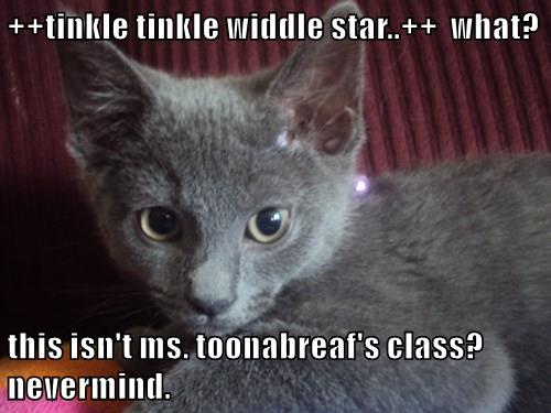 Nevermind. - Lolcats - lol | cat memes | funny cats | funny cat ...