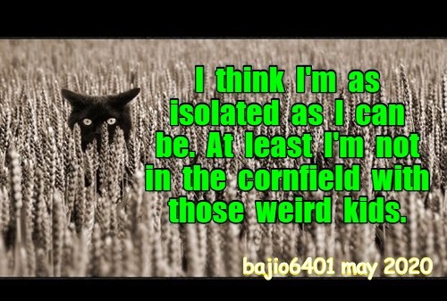 ISOLATION - Lolcats - lol | cat memes | funny cats | funny cat pictures ...