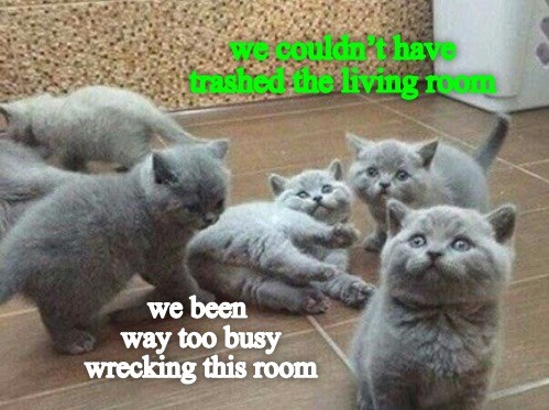 Intriguing Defense - Lolcats - lol | cat memes | funny cats | funny cat ...