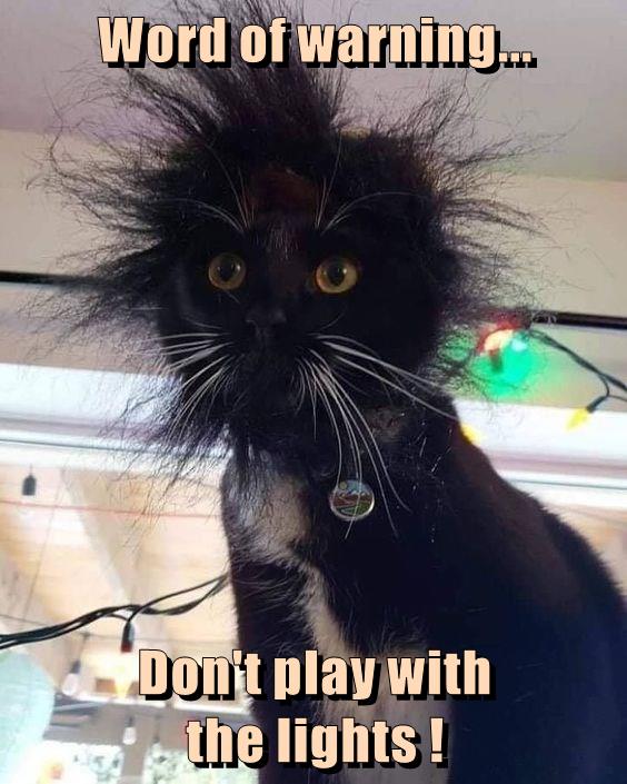 Word of warning... - Lolcats - lol | cat memes | funny cats | funny cat ...