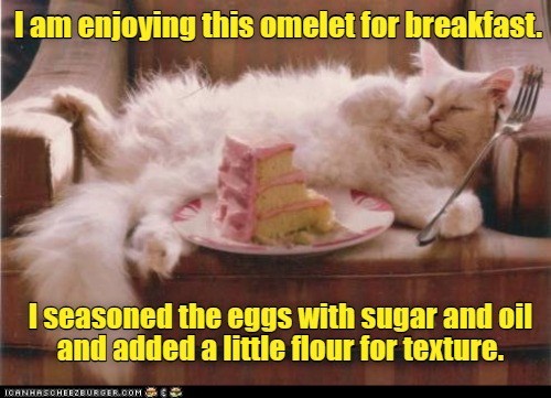Breakfast of champions. - Lolcats - lol | cat memes | funny cats ...