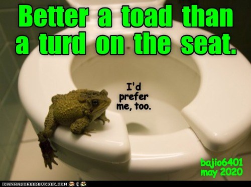 THE LESSER OF TWO EVILS - Animal Comedy - Animal Comedy, funny animals ...