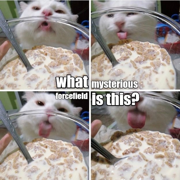 What mysterious forcefield is this? - Lolcats - lol | cat memes | funny ...