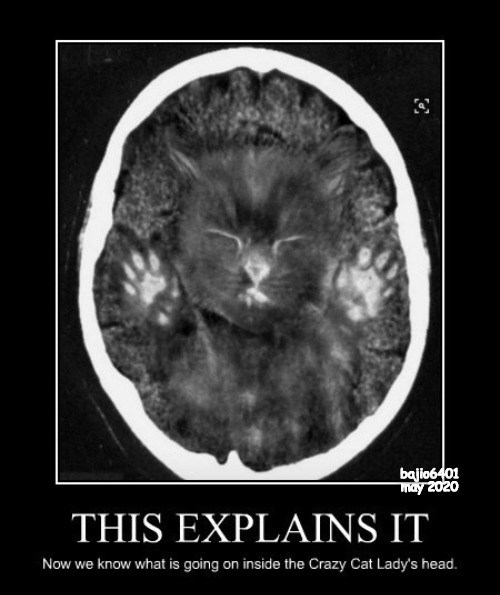 WE ALWAYS THOUGHT IT WAS SOMETHING LIKE THAT - Lolcats - lol | cat ...