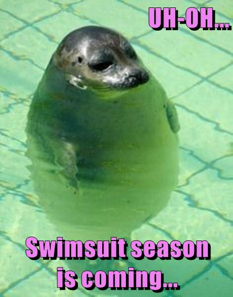 UH-OH... - Animal Comedy - Animal Comedy, funny animals, animal gifs