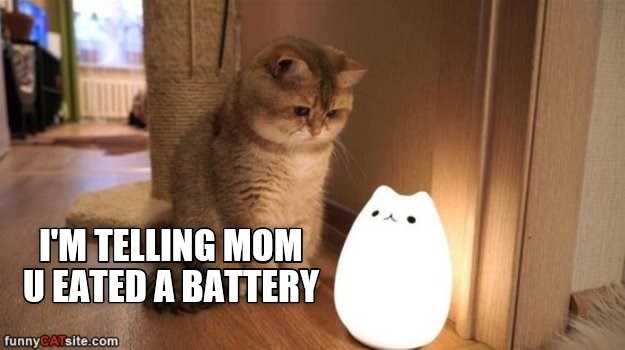 I'M TELLING MOM U EATED A BATTERY - Lolcats - lol | cat memes | funny ...