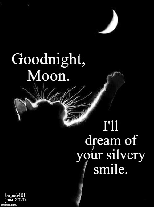 SWEET DREAMS - Lolcats - lol | cat memes | funny cats | funny cat ...