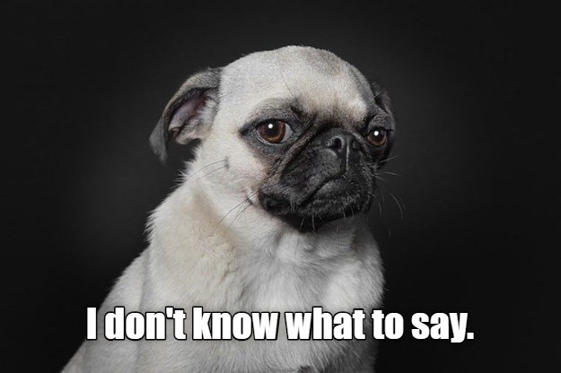 Sometimes silence is the best - I Has A Hotdog - Dog Pictures - Funny ...