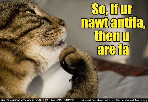 Dunt make meh tell u wut dat means - Lolcats - lol | cat memes | funny ...