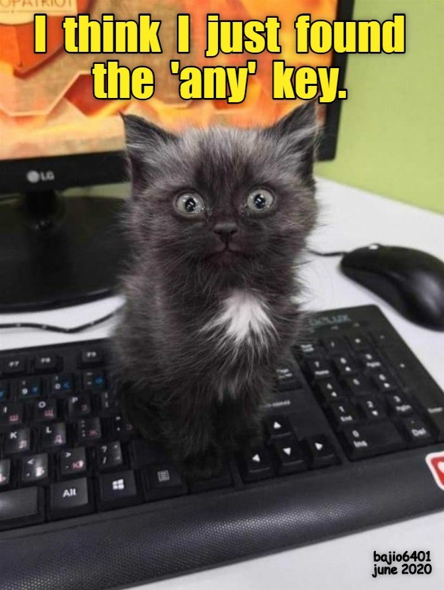 IT SURE SURPRISED ME - Lolcats - lol | cat memes | funny cats | funny ...