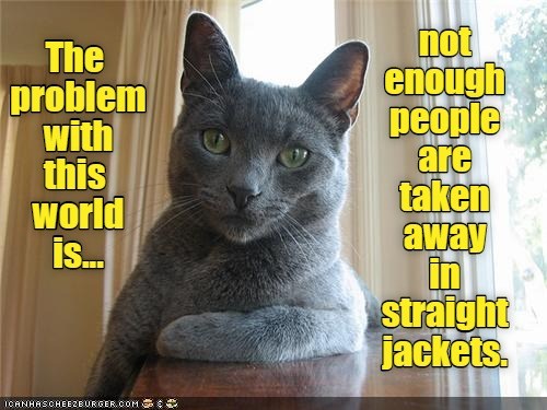 Not nearly enough. - Lolcats - lol | cat memes | funny cats | funny cat ...