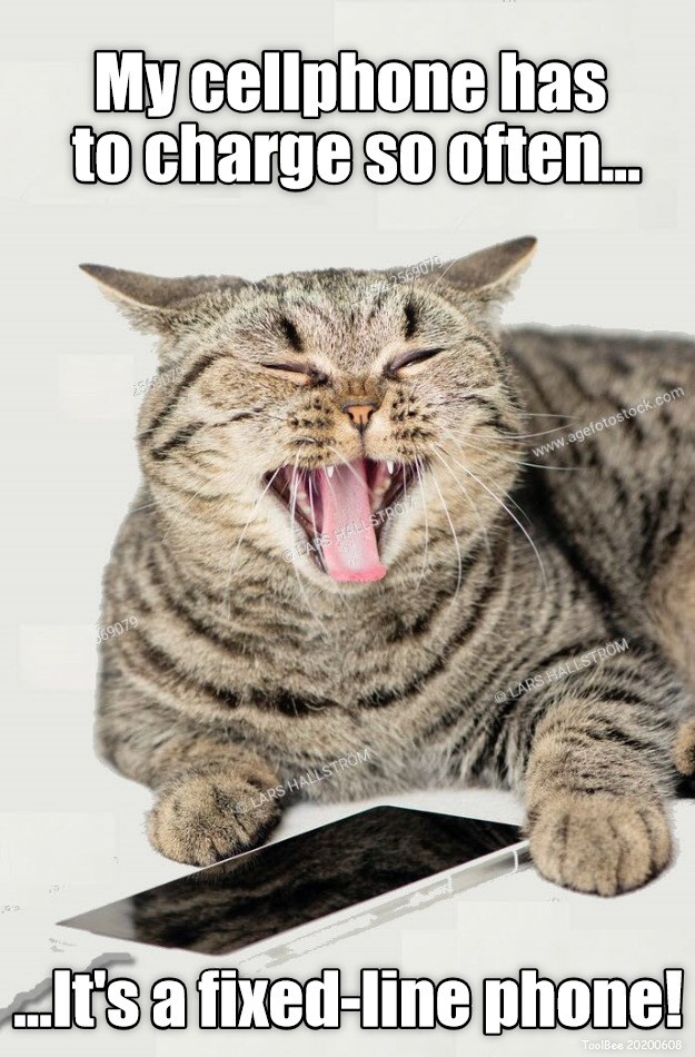 My Phone Is Fixd - Lolcats - lol | cat memes | funny cats | funny cat ...