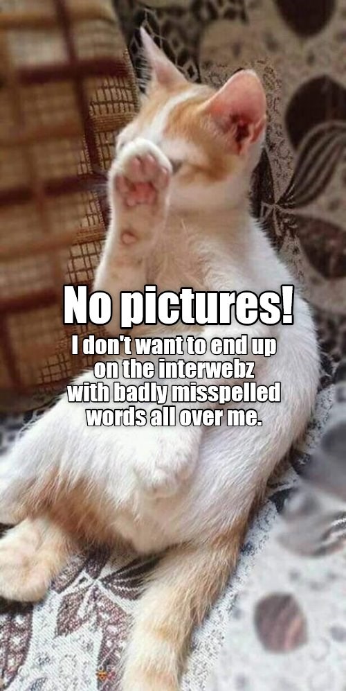 No pictures! - Lolcats - lol | cat memes | funny cats | funny cat ...