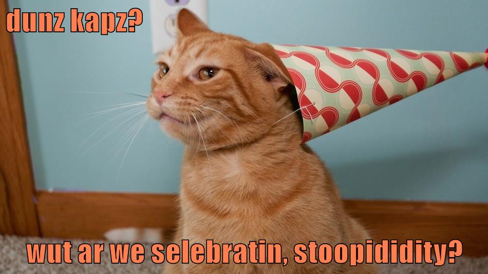 Wut ar we selebratin? - Lolcats - lol | cat memes | funny cats | funny ...