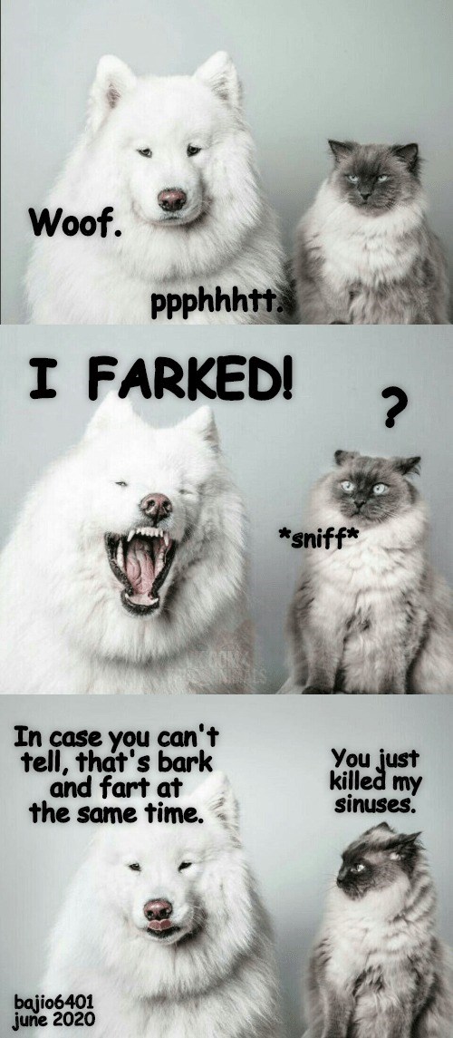 MULTITASKING DOG - I Has A Hotdog - Dog Pictures - Funny pictures of ...