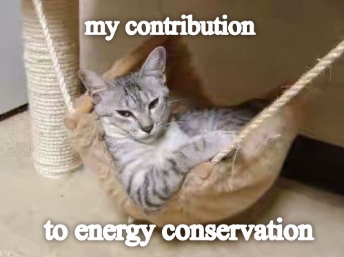 I Try To Avoid Excess Motion - Lolcats - lol | cat memes | funny cats ...