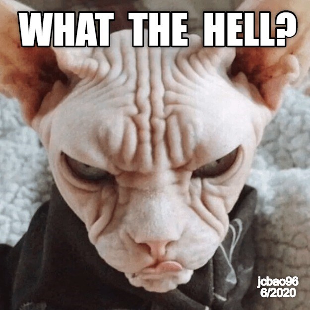 THE ONLY WAY TO ANSWER A QUESTION - Lolcats - lol | cat memes | funny ...