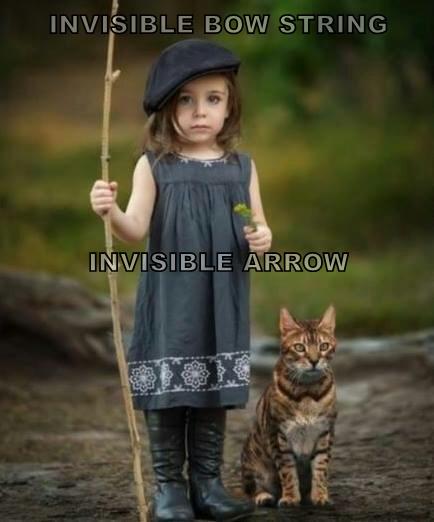 BOW STRING & ARROW - Lolcats - lol | cat memes | funny cats | funny cat ...
