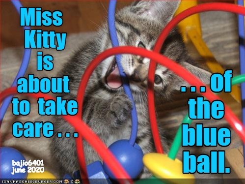 NO MORE BLUE BALLS - Lolcats - lol | cat memes | funny cats | funny cat ...