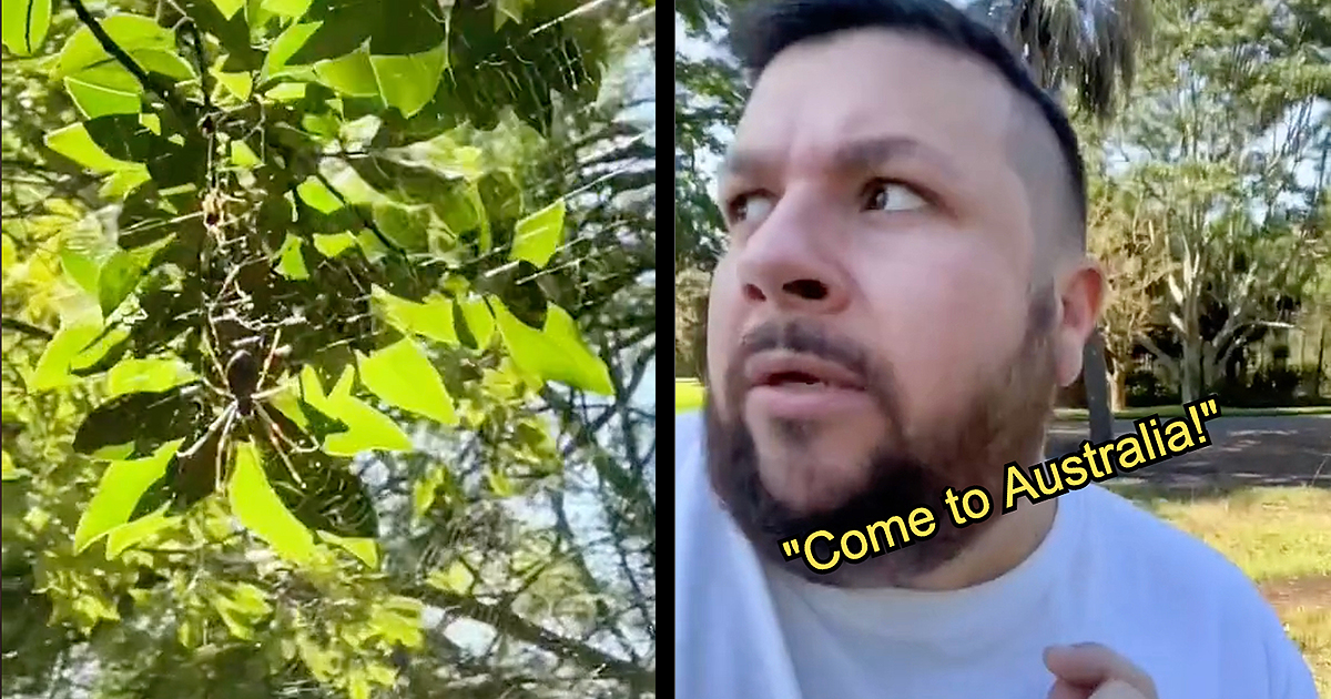 Memebase - killer-birds - All Your Memes In Our Base - Funny Memes ...