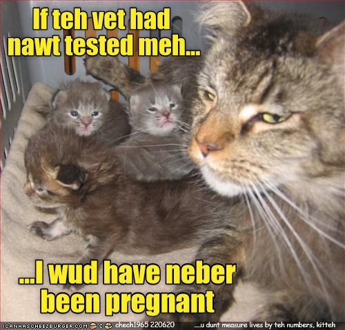 Stop animal testing!! - Lolcats - lol | cat memes | funny cats | funny ...