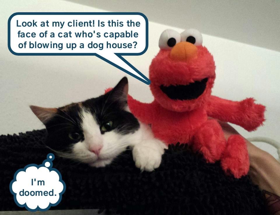 When the dogs fingered him, Big Paws lawyered up - Lolcats - lol | cat ...