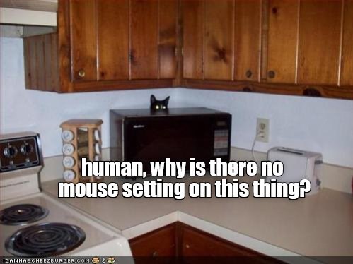 Mouset be a mistake - Lolcats - lol | cat memes | funny cats | funny ...
