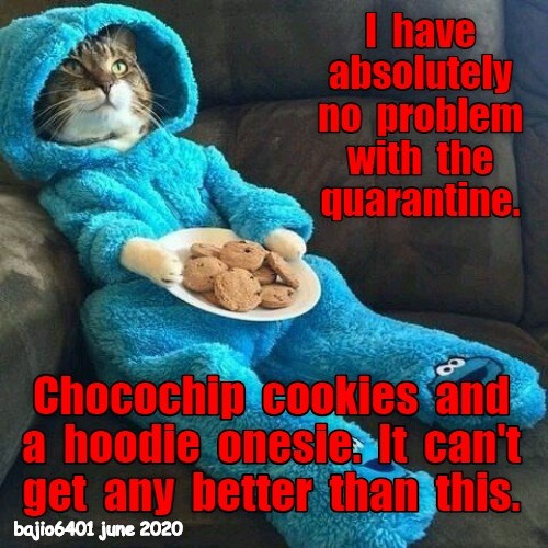 I HAS A VERY HAPPY - Lolcats - lol | cat memes | funny cats | funny cat ...