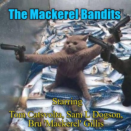 The Mackerel Bandits - Lolcats - lol | cat memes | funny cats | funny ...