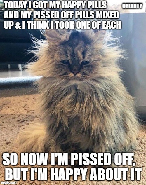 Lolcats - lol | cat memes | funny cats | funny cat pictures with words ...